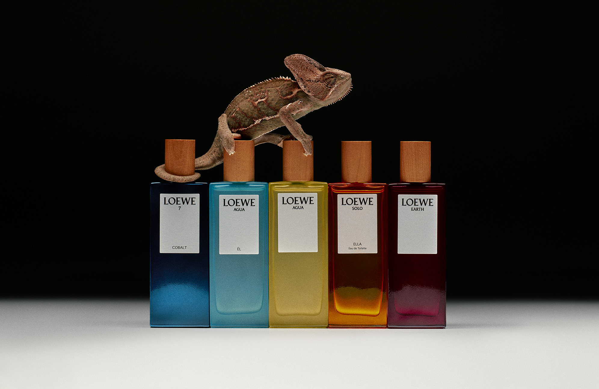 Loewe Perfumes - LVMH