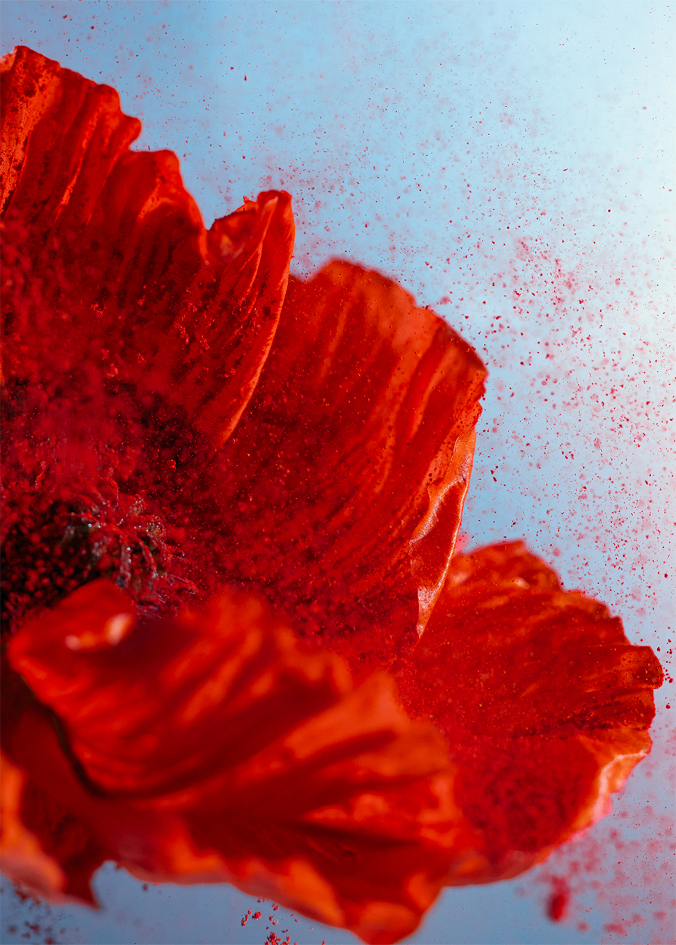 Kenzo Parfums - LVMH