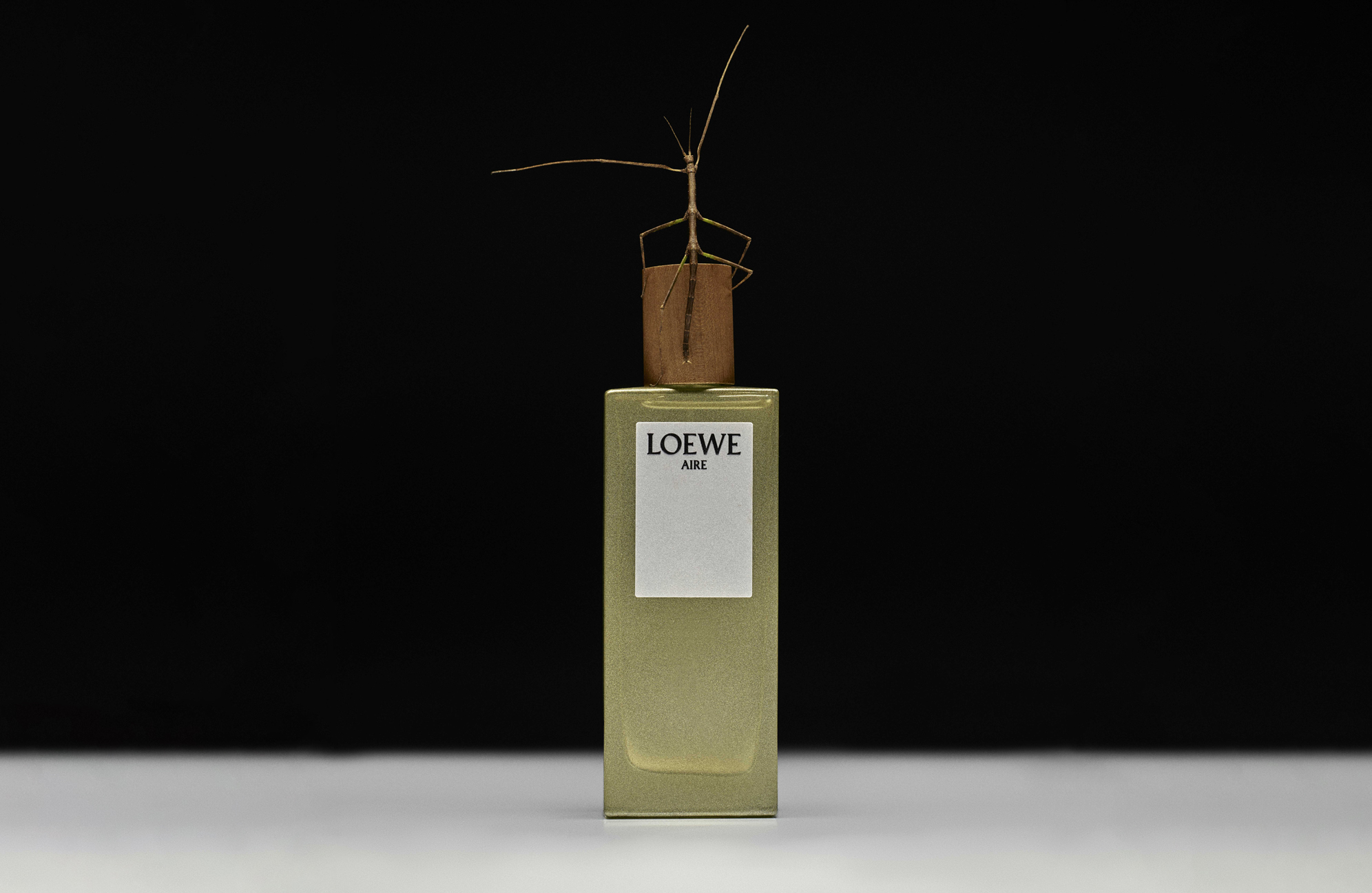 Loewe Perfumes - LVMH