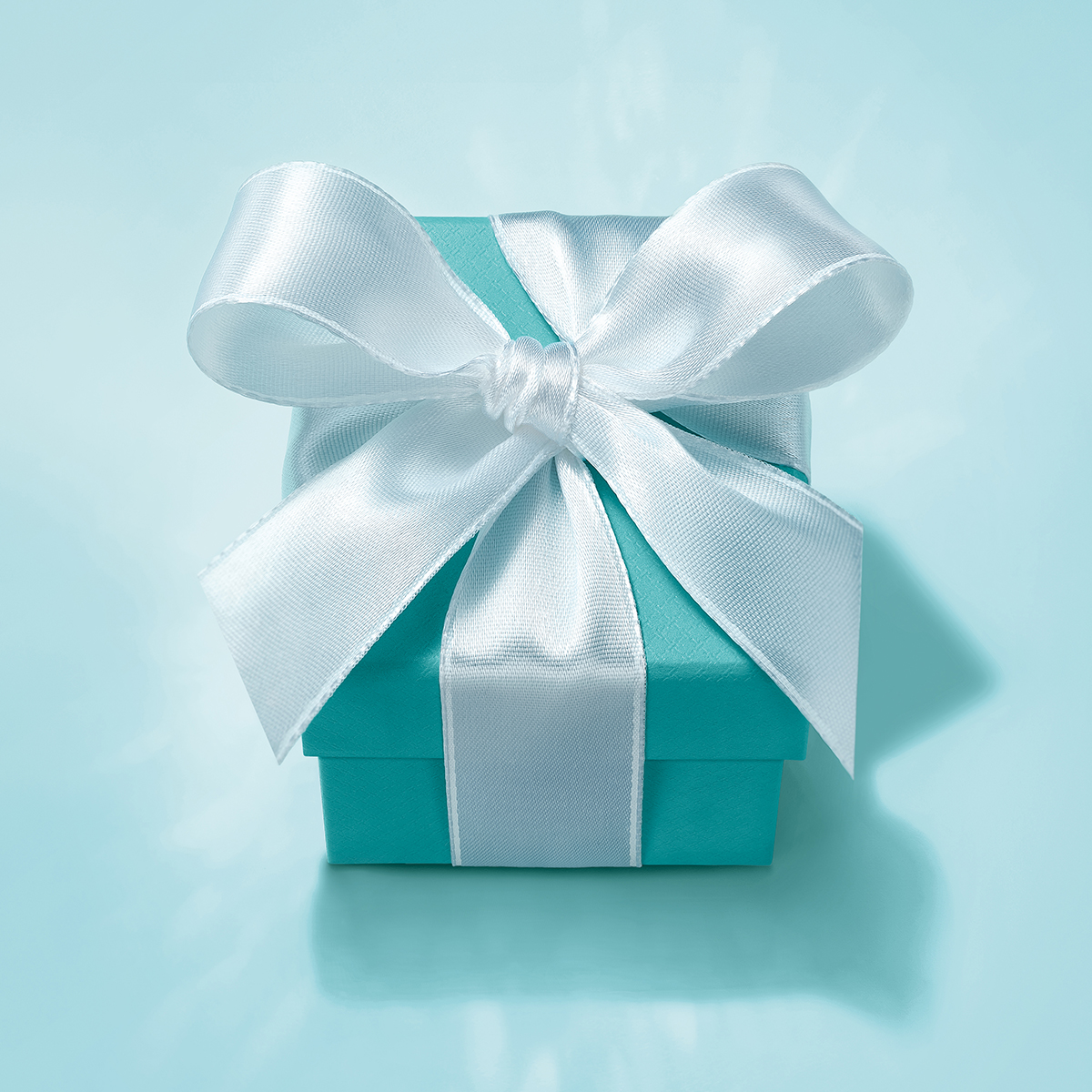 Tiffany & Co. - LVMH