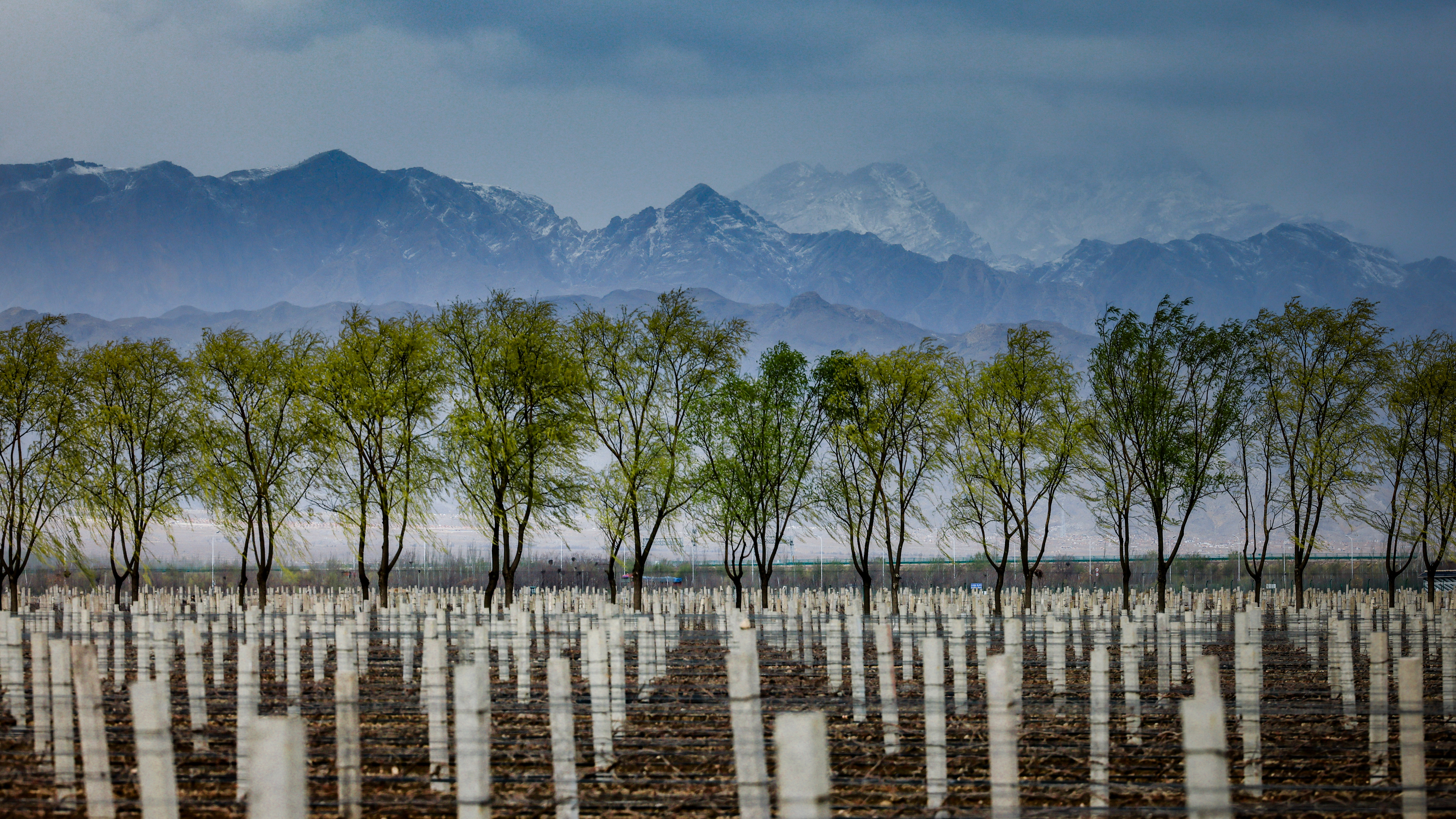 Domaine Chandon China，起泡酒 - 葡萄酒与烈酒 – LVMH集团