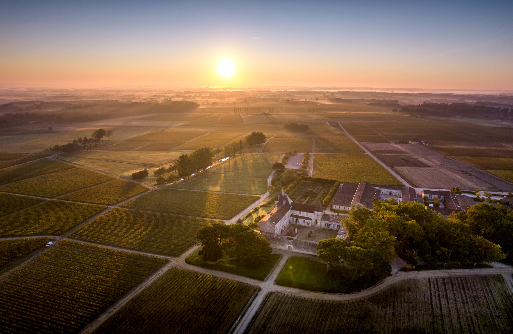 Château d'Yquem，苏特恩一级酒庄 - 葡萄酒与烈酒 - LVMH集团